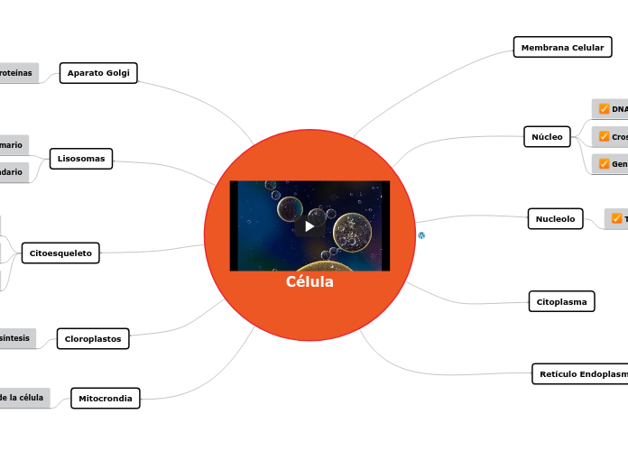 Célula - Mind Map